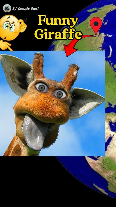 Funny Giraffe 🤯🦒😱 on google earth and google maps 🌎 #sygoogleearth #shots #giraffe ...