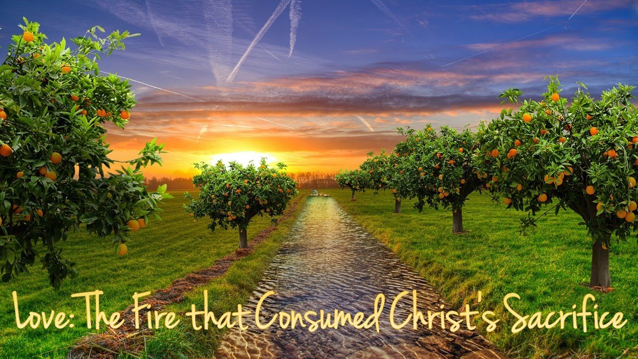 Love: The Fire that Consumed Christ's Sacrifice - Matthew 22:34-46 ...