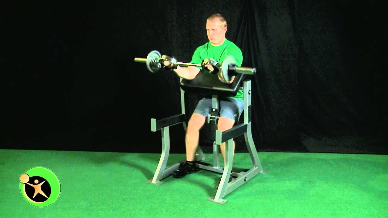 Biceps / Curl - Scott - Gaspari Bar - Rev. Grip - YouTube