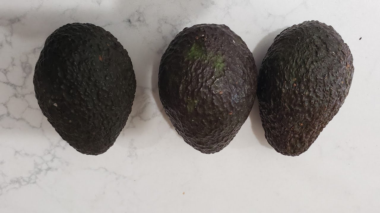 How to Ripen Avocados Faster it Works Pretty Good - YouTube