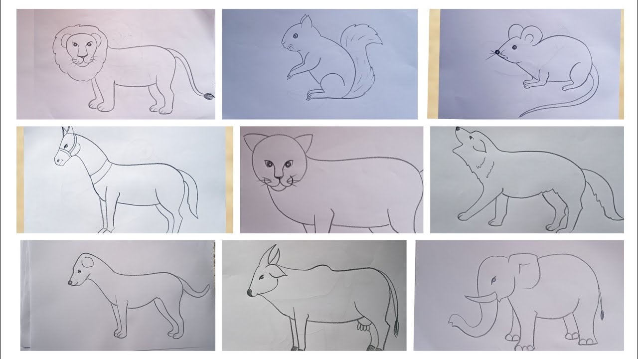 how to draw different types of animals drawing easy step by step@Aarav ...