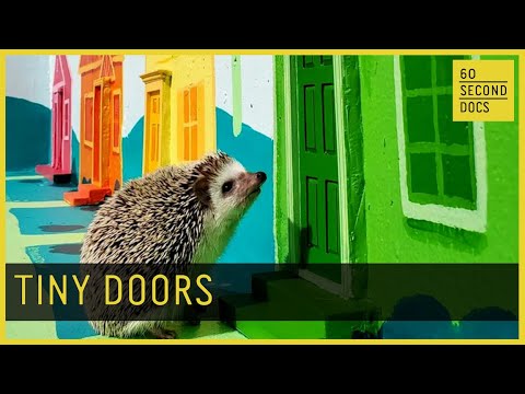 Tiny Doors ATL | Karen Anderson Singer - YouTube