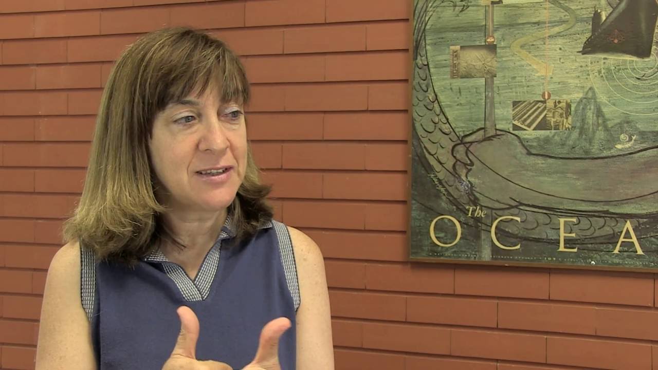 Vanda Brotas / FCUL-MARE - As potencialidades da deteção remota nos ...