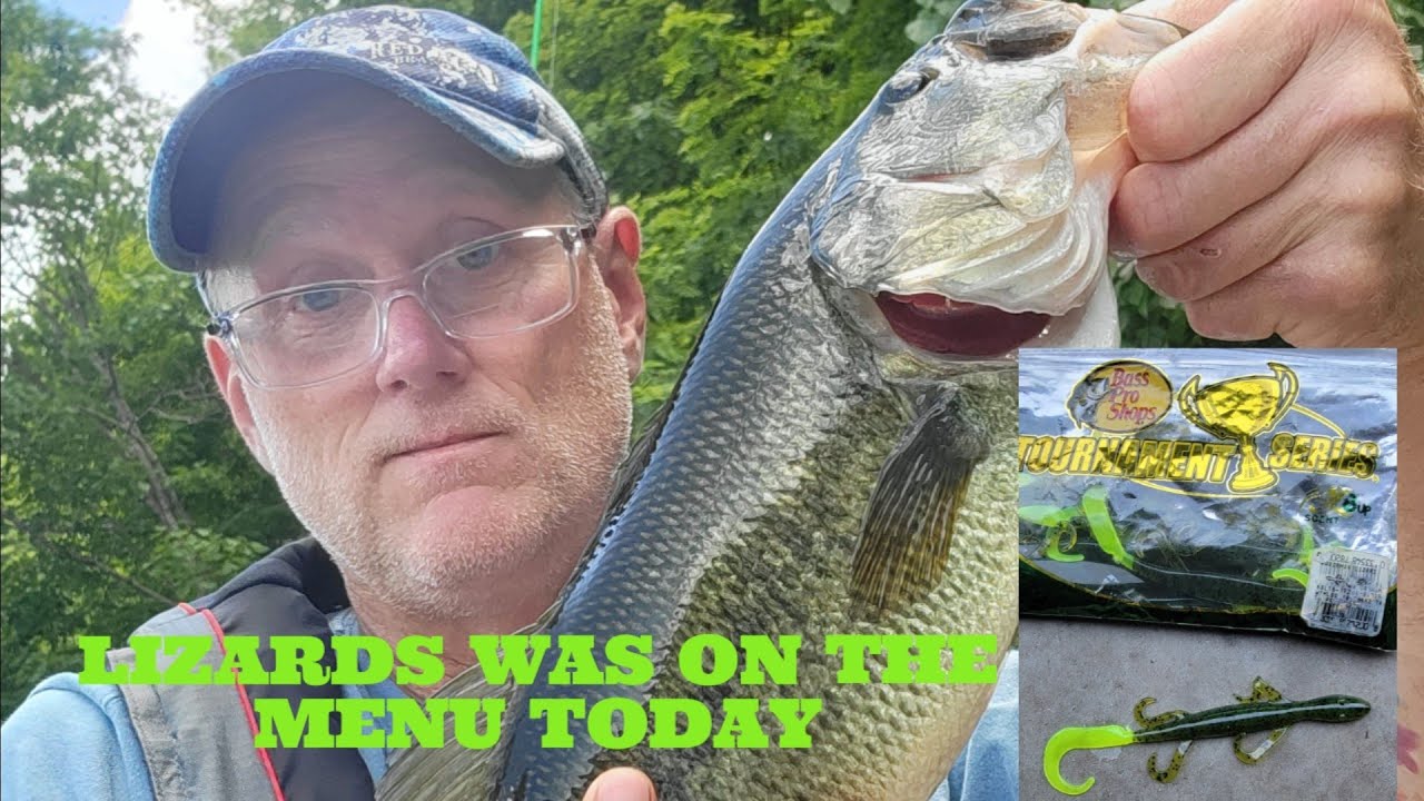 The Bass was Loving the Lizards Today - YouTube