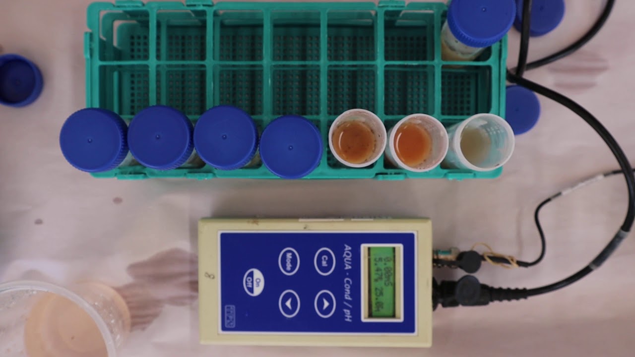 Bentley Campus Pot Experiment Soils EC - YouTube