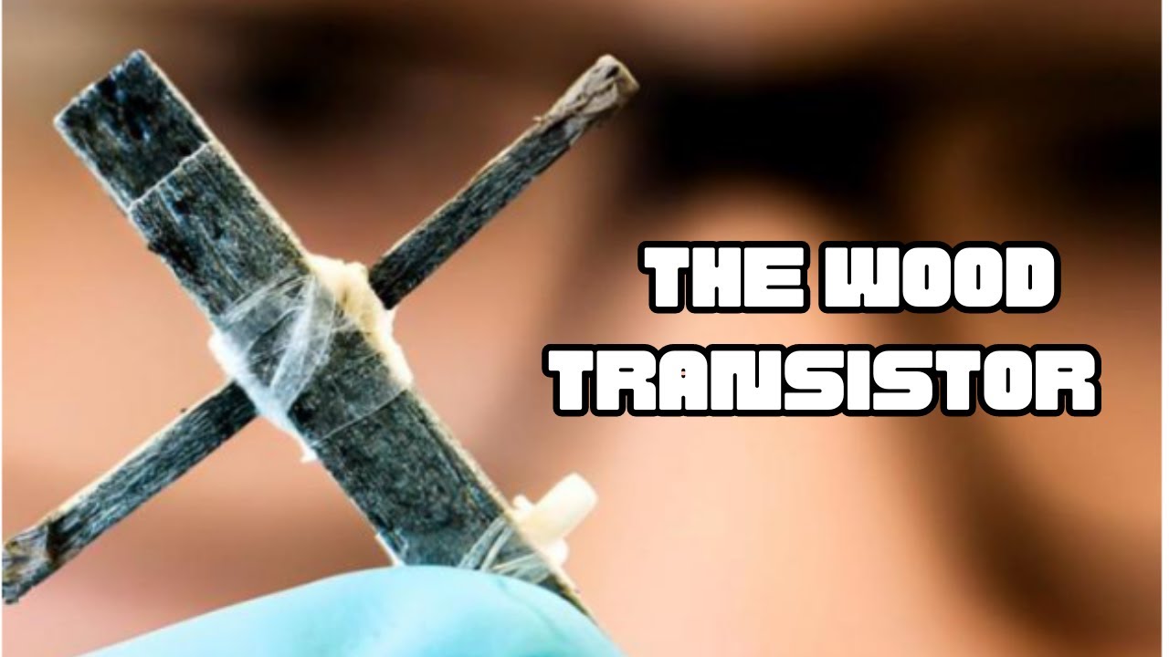 The Revolutionary Invention Turning Wood Into Tech - YouTube