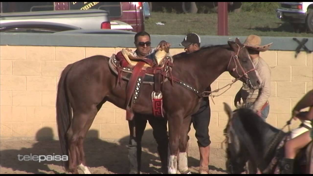 39 - Lo Mejor de los Coleaderos - Indiana, California - YouTube