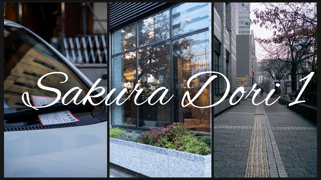 POV Photography: Nagoya Japan Sakura Dori 1 - YouTube