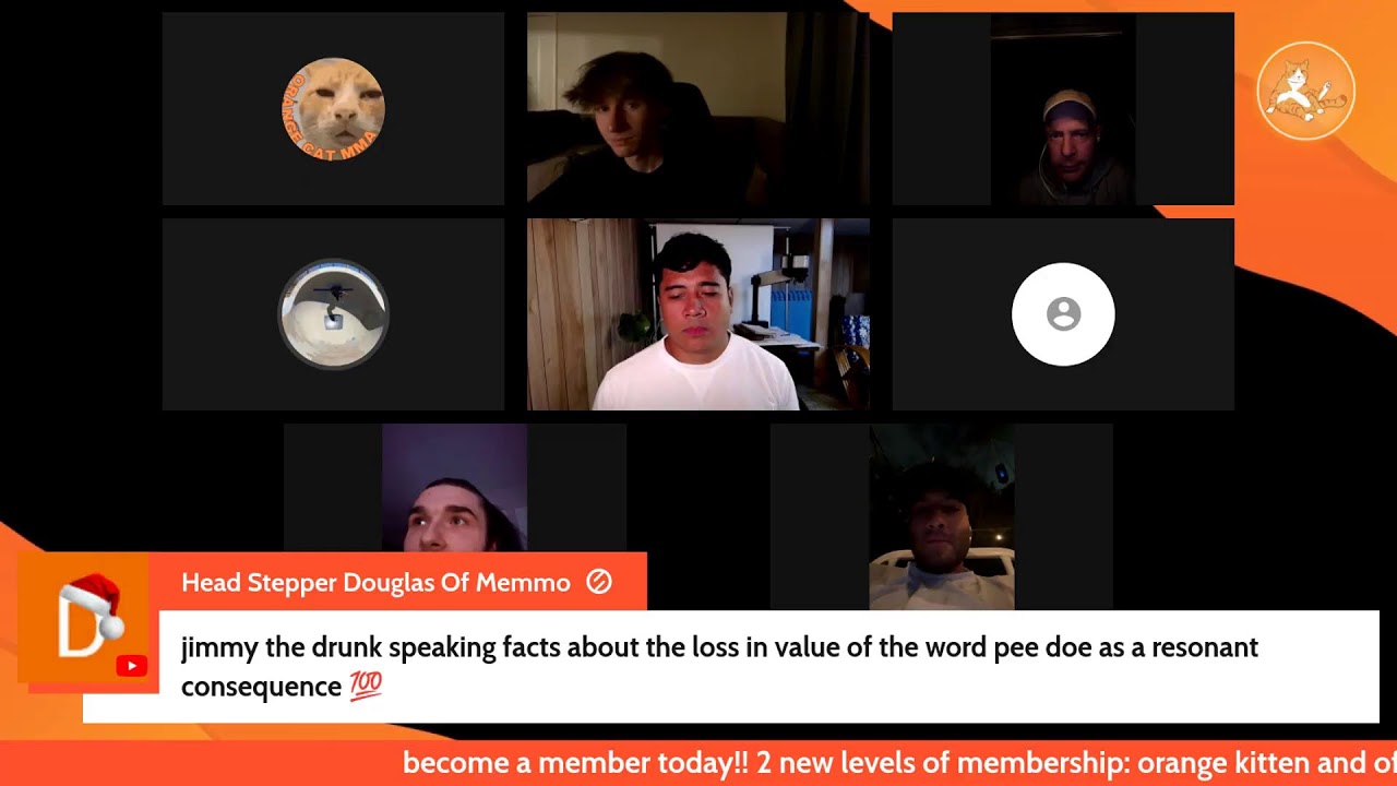 sheisty cat panel - ufc talk - YouTube