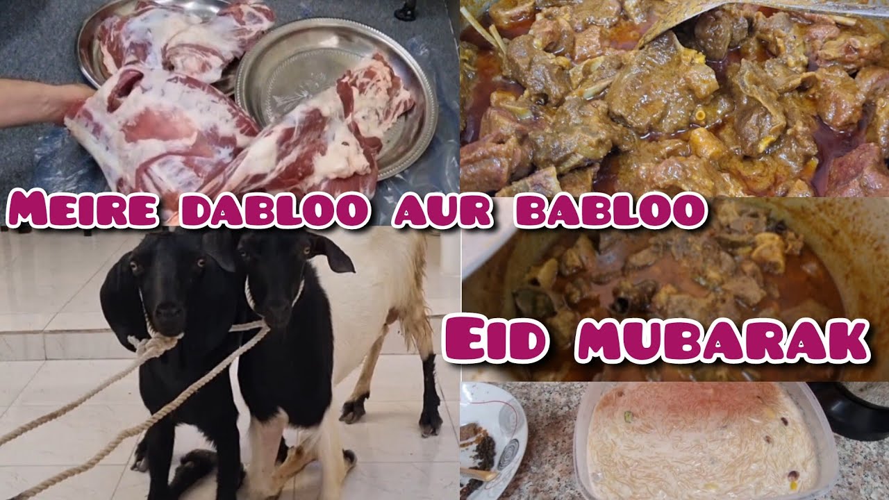 Eid Ul Adha Mubarak~Dabloo Aur Babloo Ki Qurbani Karle~Aj Banaya Mutton ...