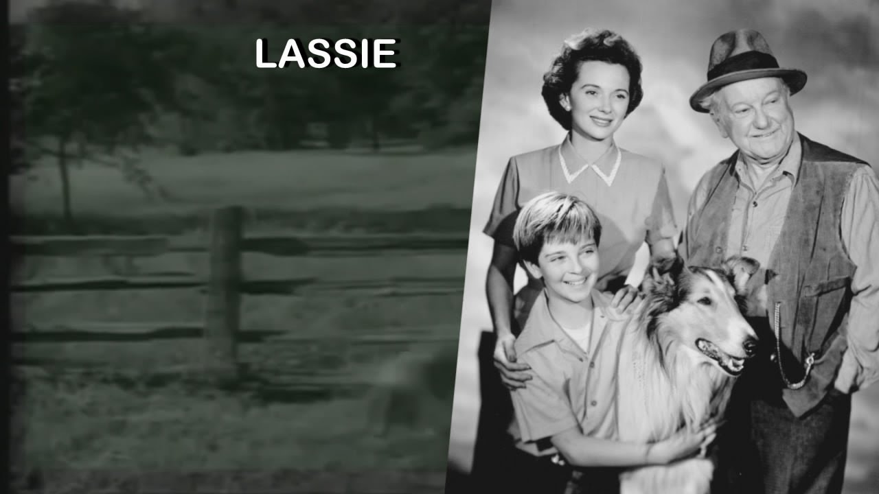 1954 Série Lassie - YouTube