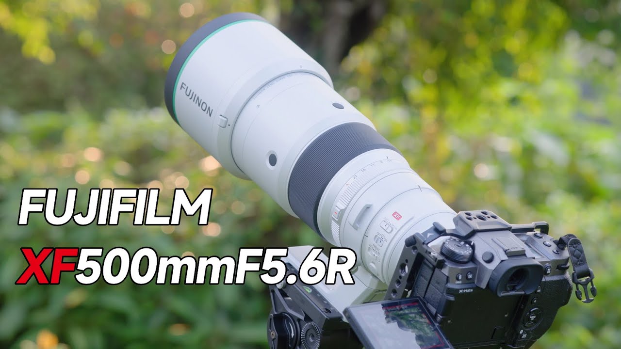 FUJIFILM XF500mmF5.6 R LM OIS WR野生动物拍摄体验 - YouTube