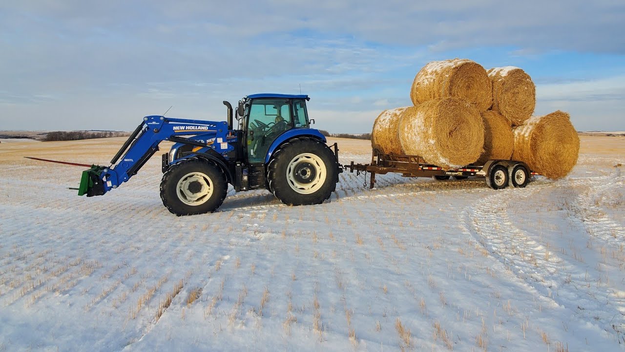 Feedlot build episode 15!! Building windbreak out of bales!! - YouTube