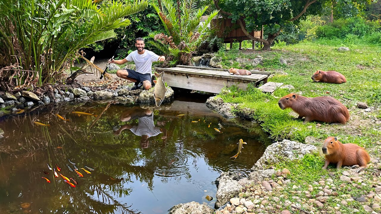 Catching Colorful FISH In My CAPYBARA Pond! - YouTube