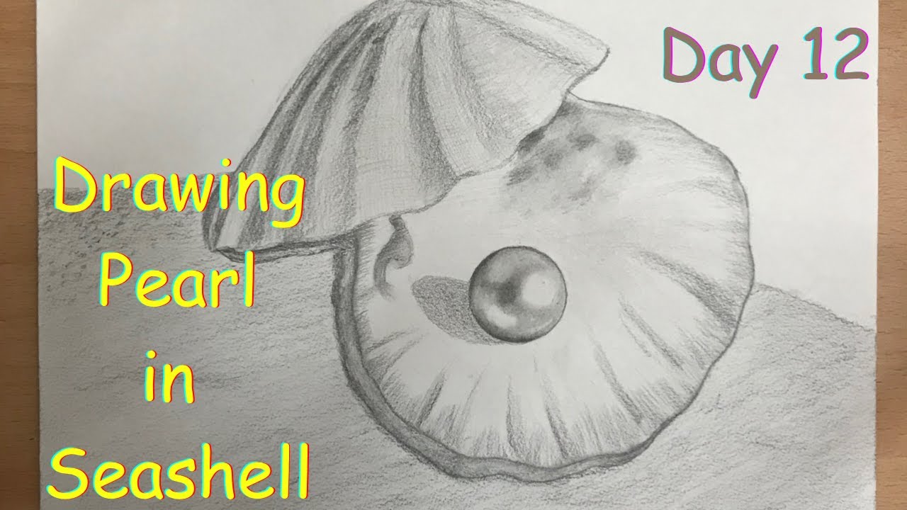 How to draw a pearl | Drawing pearl in seashell - YouTube