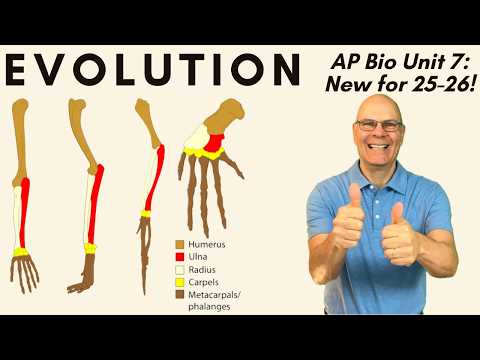 AP Bio Evolution (Unit 7) Mega-Review (25–26): From Natural Selection to Speciation to Phylogeny