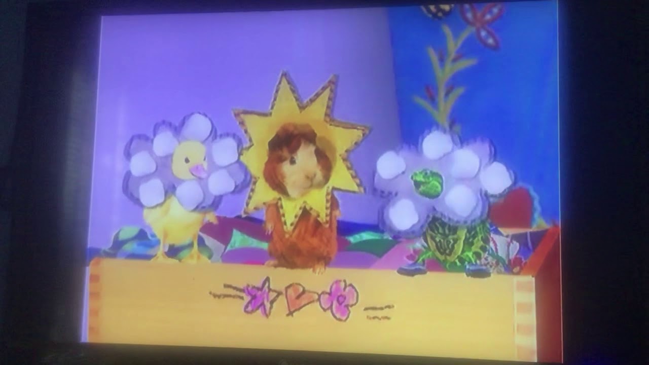 Wonder Pets: Beautiful Day Cloth - YouTube
