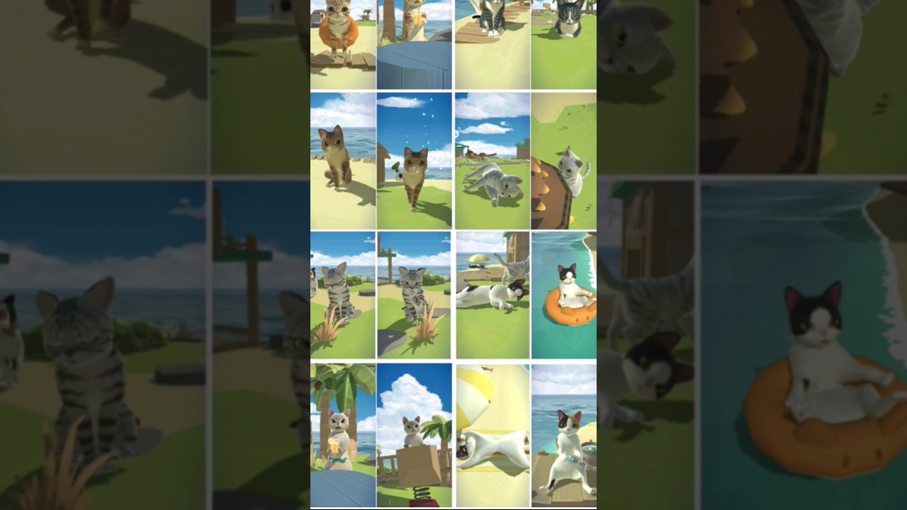 Wha wha cat song #shorts - YouTube