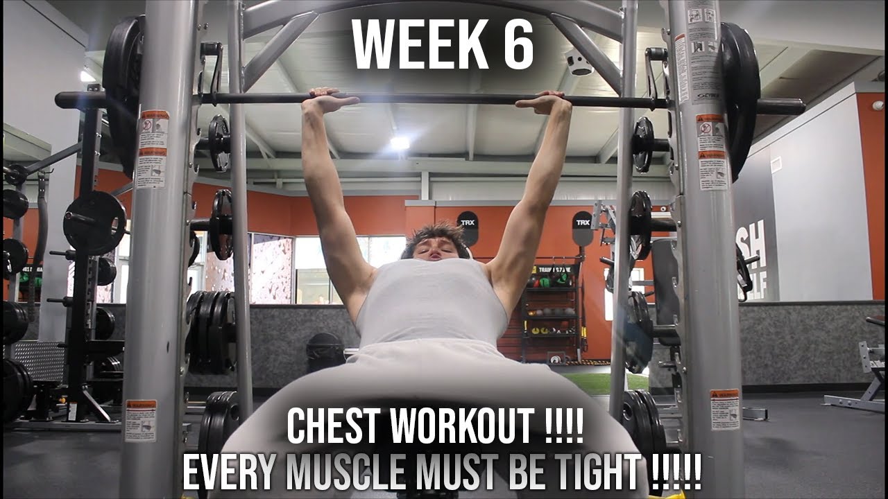 WEEK 6 : EVERY MUSCLE MUST BE TIGHT ( 2023 CHEST WORKOUT ) - YouTube
