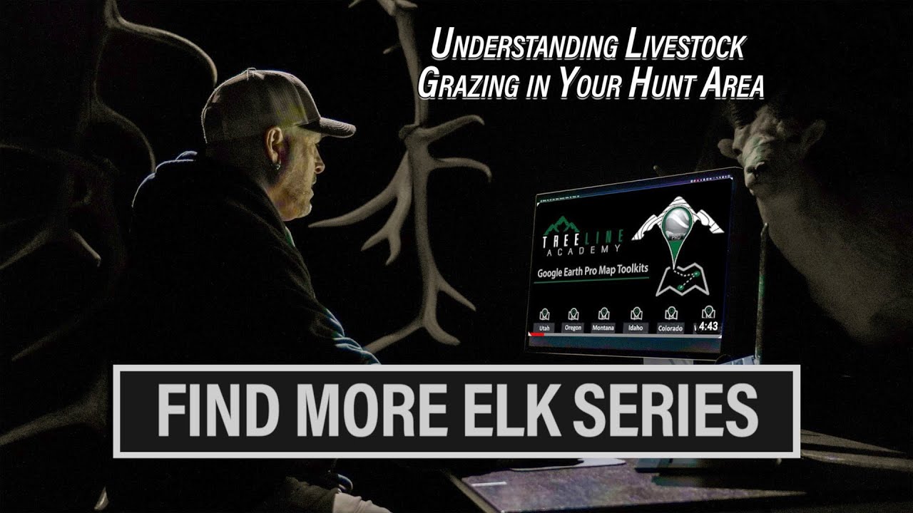 FIND MORE ELK : IMPACT OF LIVESTOCK GRAZING WITH MARK LIVESAY | 🎙️ ...