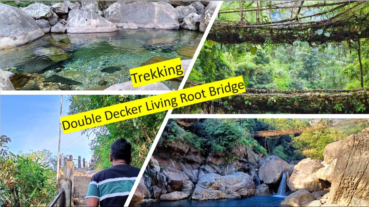 Shillong to Double Decker Living Root Bridge II Beautiful Meghalaya II ...
