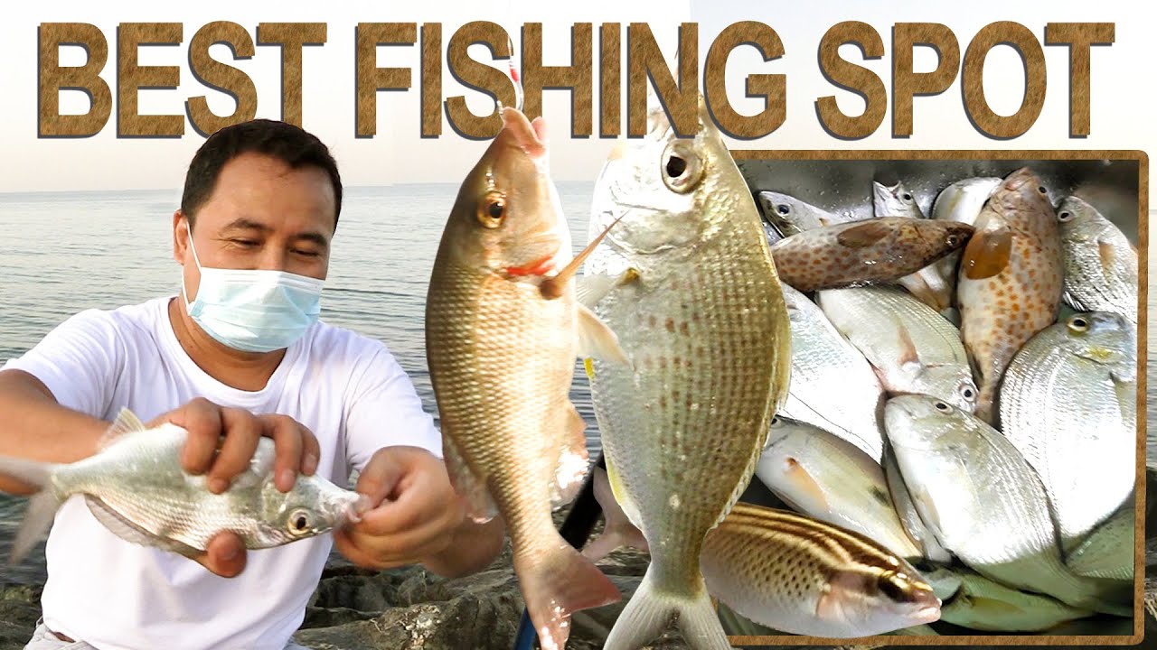 BEST FISHING SPOT IN AJMAN | SEASHORE FISHING IN UAE | OFW GOOD TIMES ...