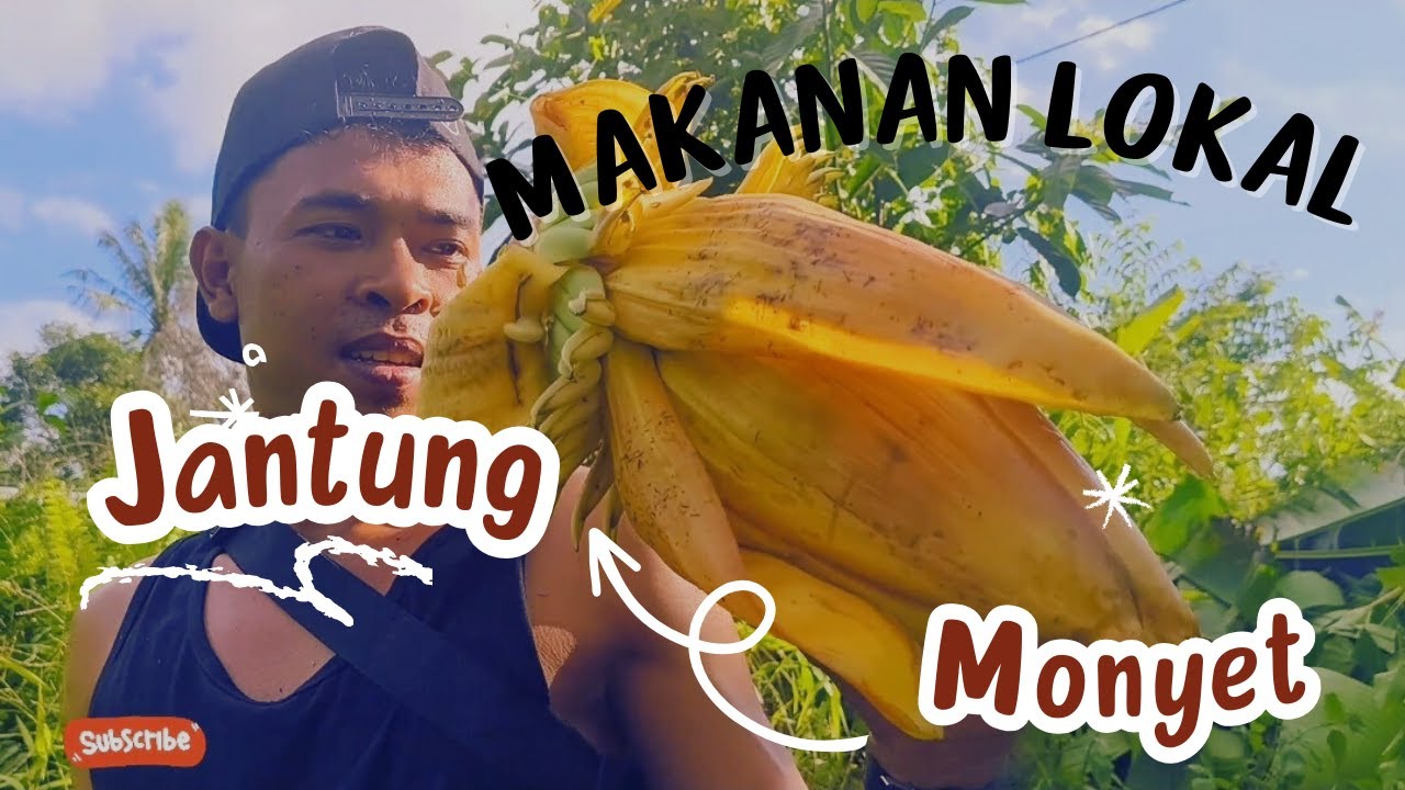 MAKAN JANTUNG PISANG MONYET - YouTube