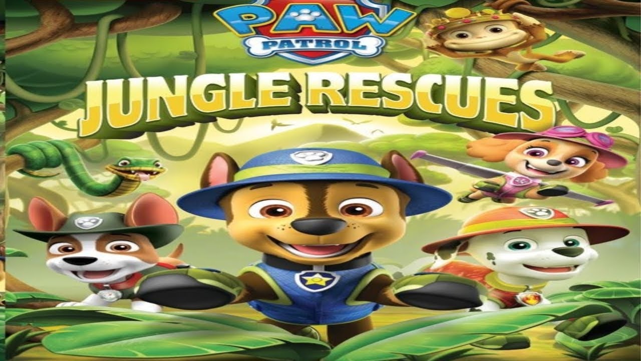 paw patrol rescue team #dropofgame #pawpetrol - YouTube