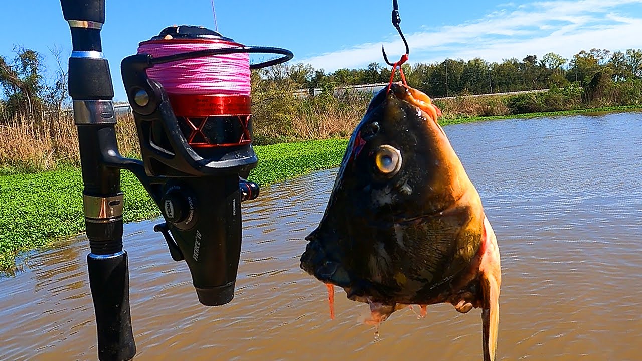 This Lagoon Has Man Sized Fish!! (Surprise Catch) - YouTube