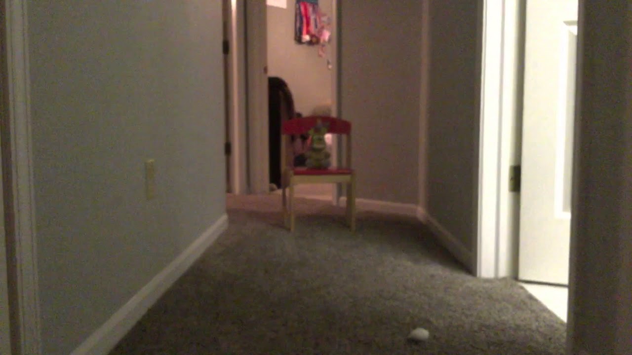 Plush trap hall real life - YouTube
