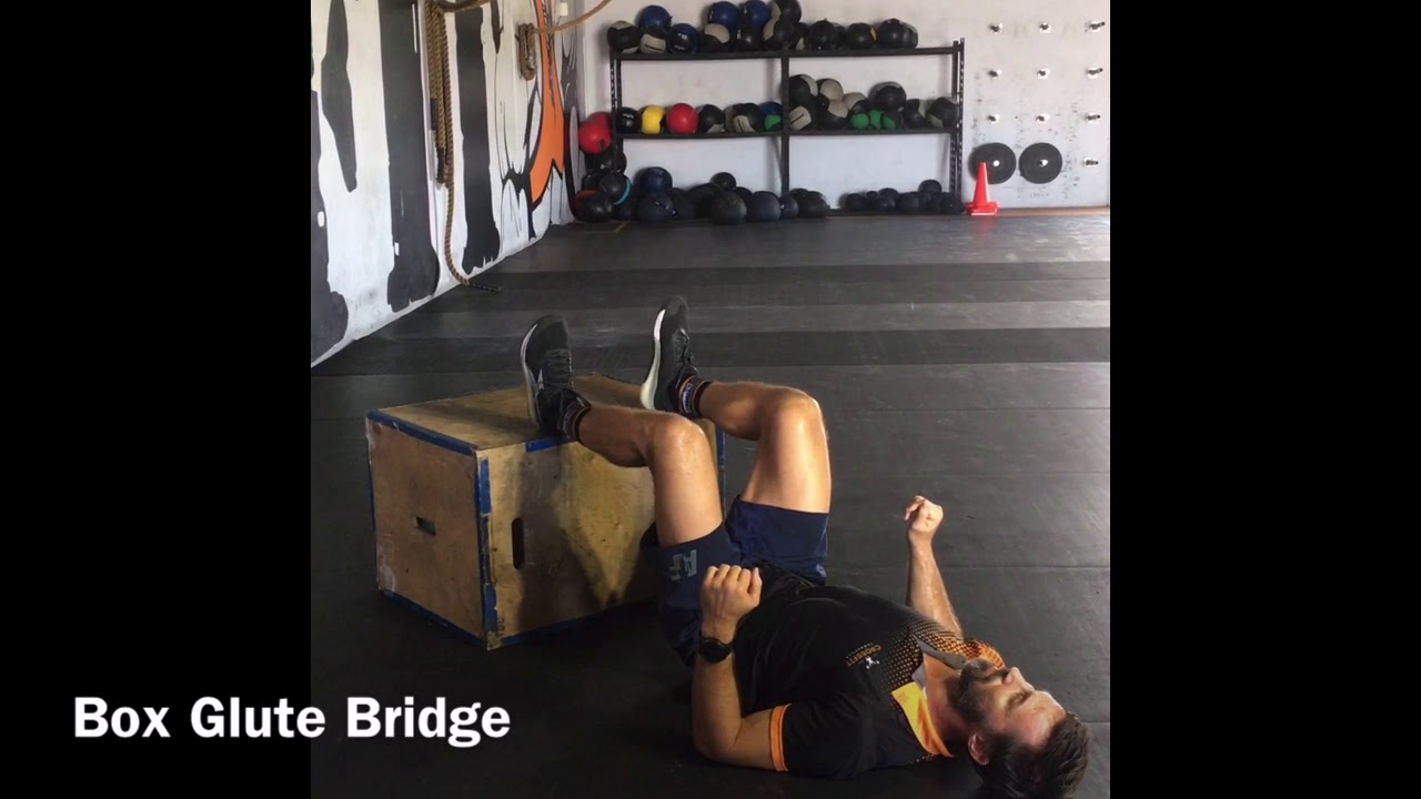 Box Glute Bridge - YouTube