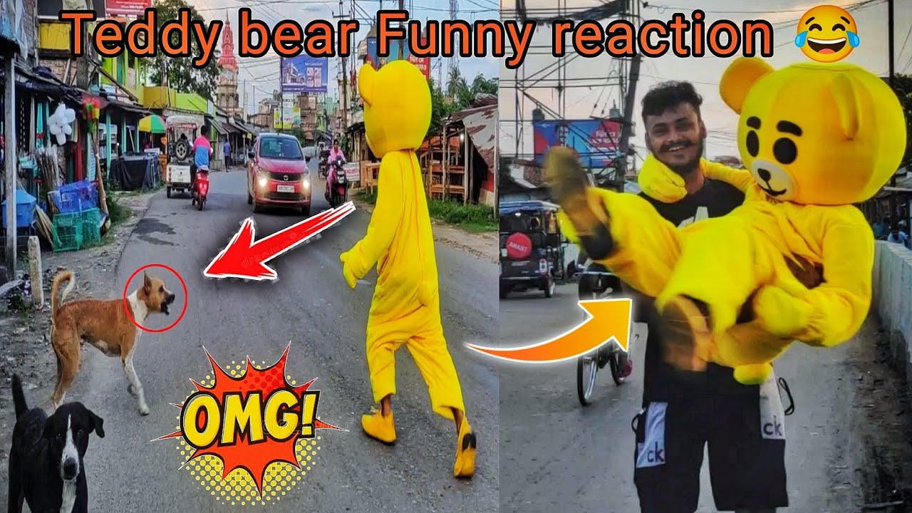 Teddy bear Irritating people and girls 😂 New trending teddy bear funny ...
