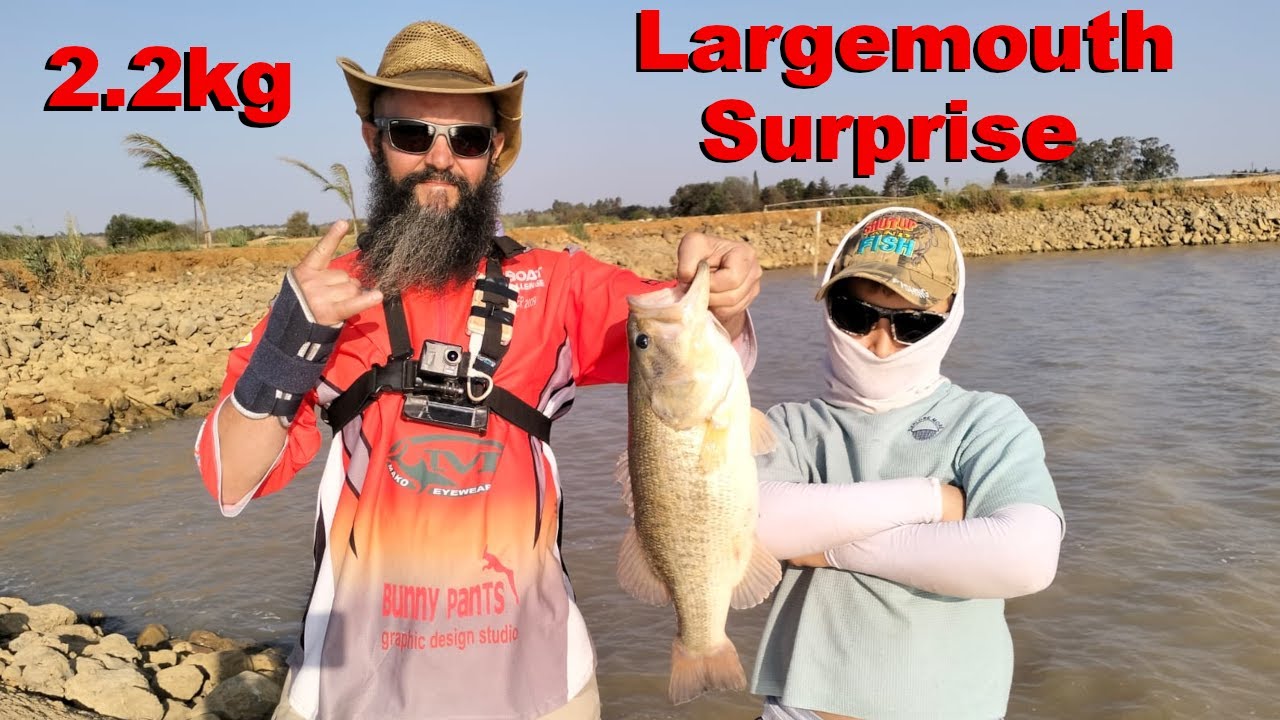 Largemouth Bass Surprise at 2.2kg ! - YouTube