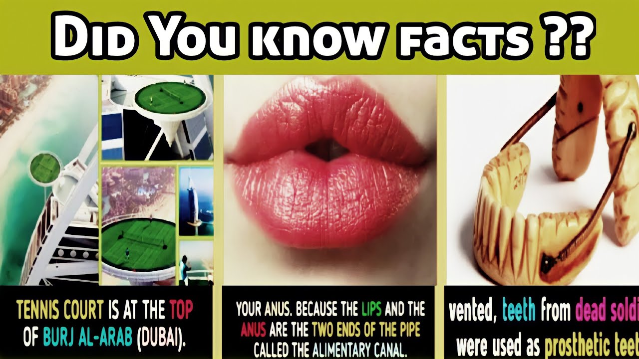 Did You Know Facts?? #06| Amazing Random Facts You Should Know ...