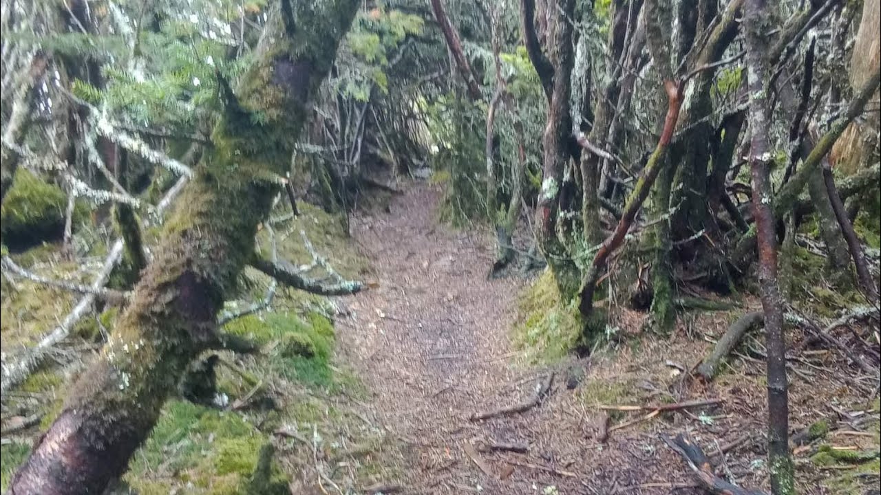 chill ya mind vol. 1 of 4 - YouTube