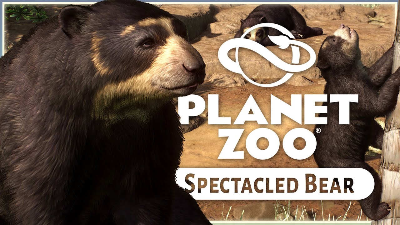 New Spectacled Bear! | Planet Zoo Zookeepers Animal Pack | Screenshot ...