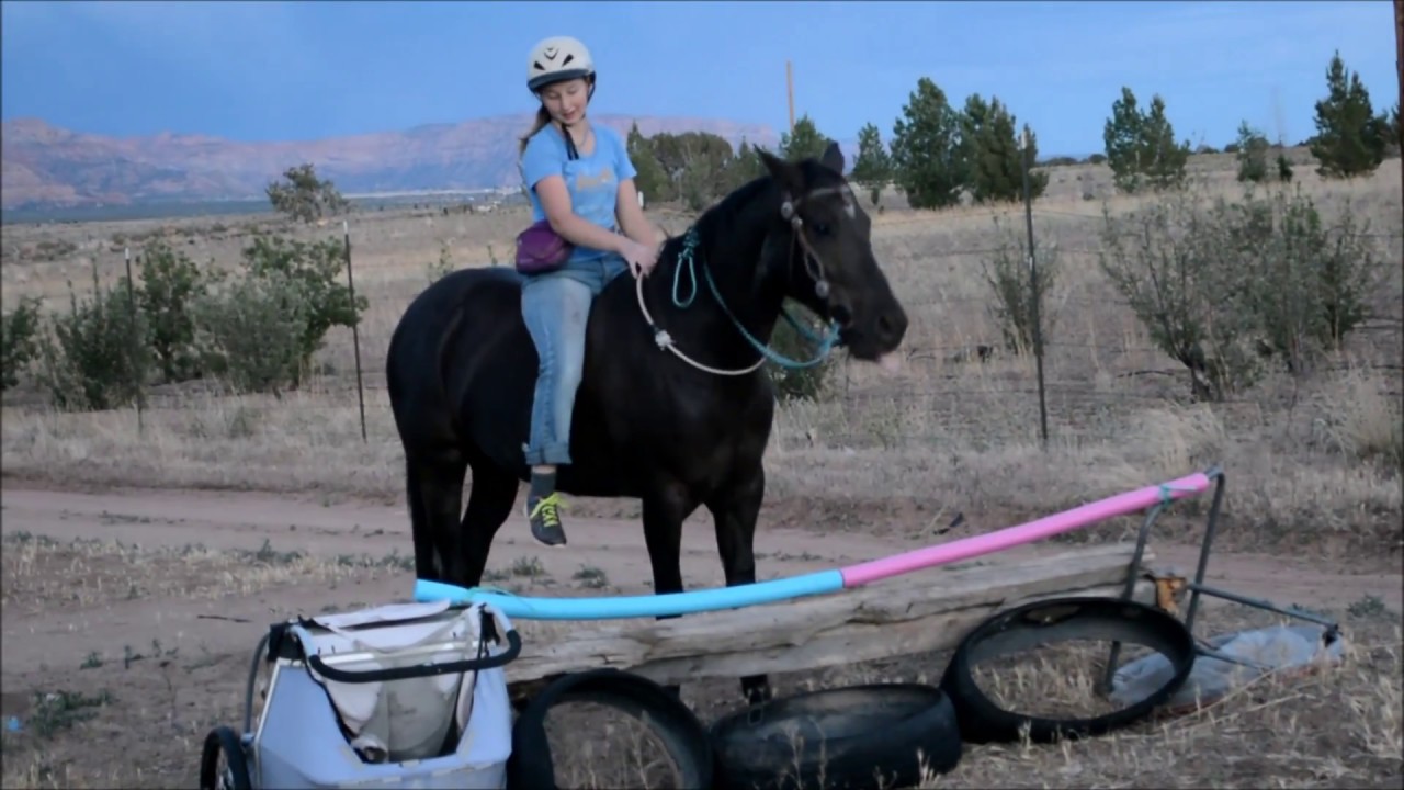 DIY How to make fun horse jumps for your horse - YouTube