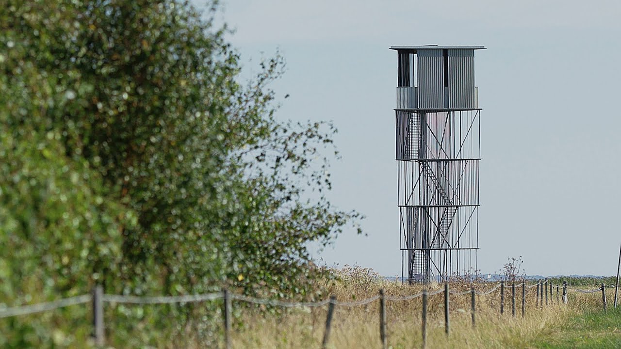 Johansen Skovsted Architects: It’s all about simplifying things - YouTube