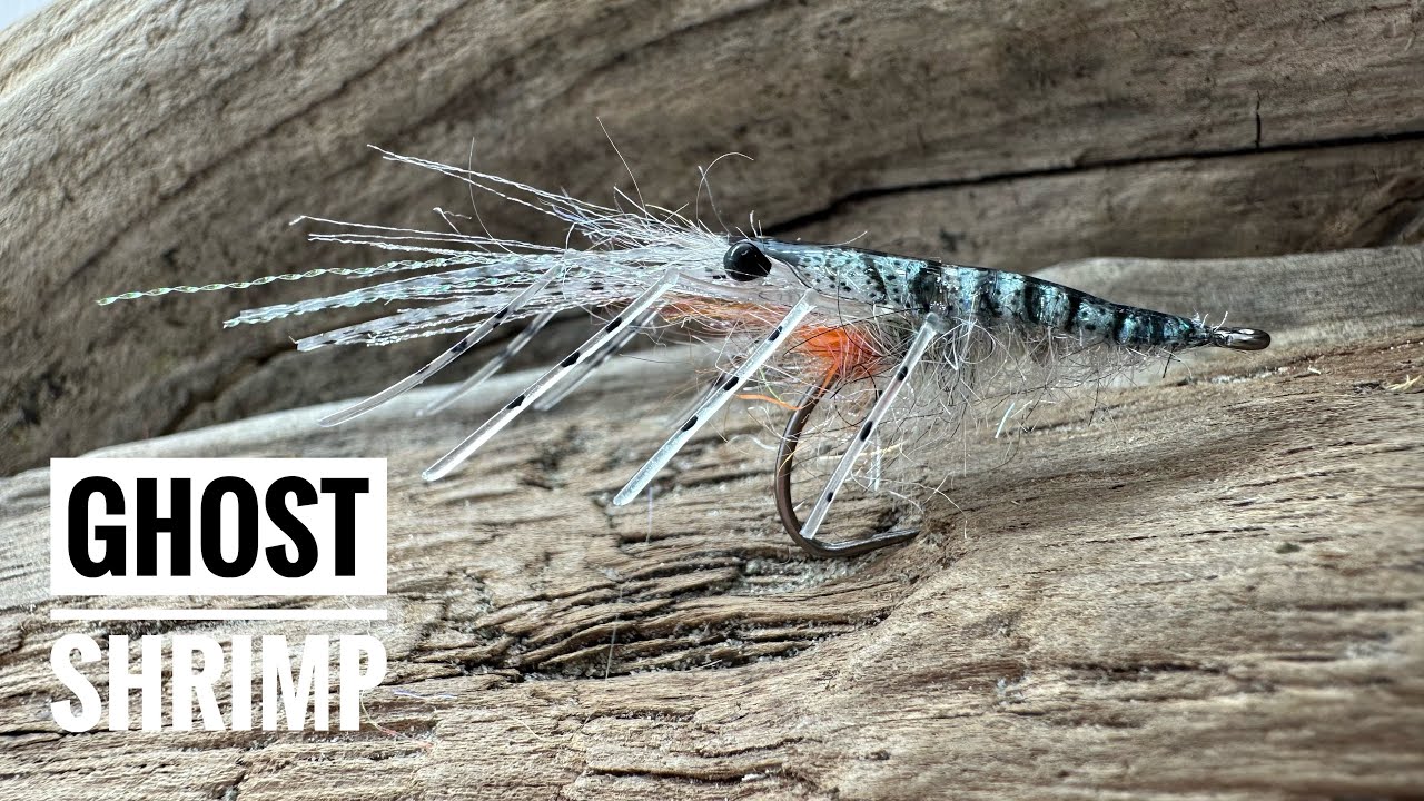 GHOST SHRIMP. Sea trout snack in gray colors and lots of movement 🎣💯 ...