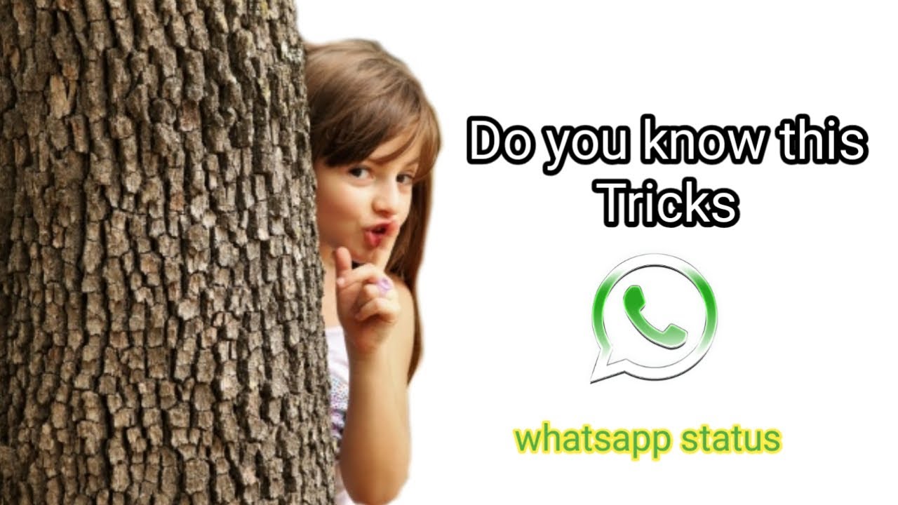 Top 3 whatsapp status tips and tricks | Social Media Users - YouTube