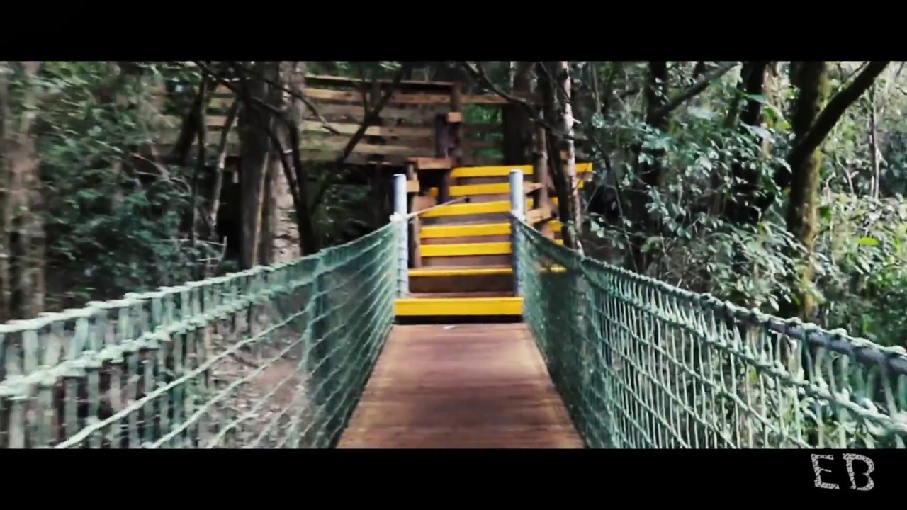 GRASKOP WEST (MARIA SHIRES WATERFALL, FOREST FALLS, GOLD PANNING ...