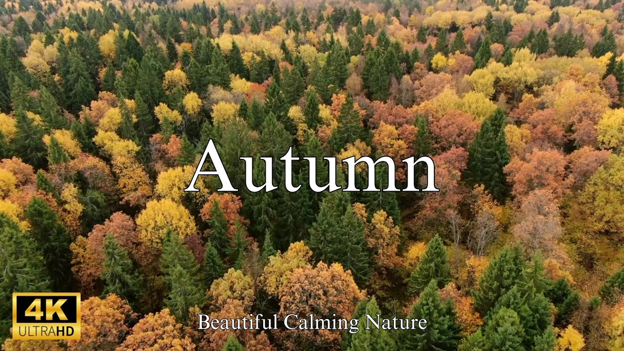 Autumn - Relaxing and Calming Piano Music - YouTube