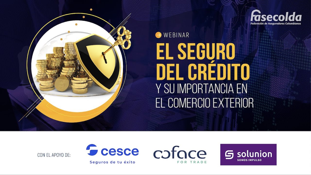 WEBINAR: El Seguro de Crédito y su importancia en el Comercio Exterior ...