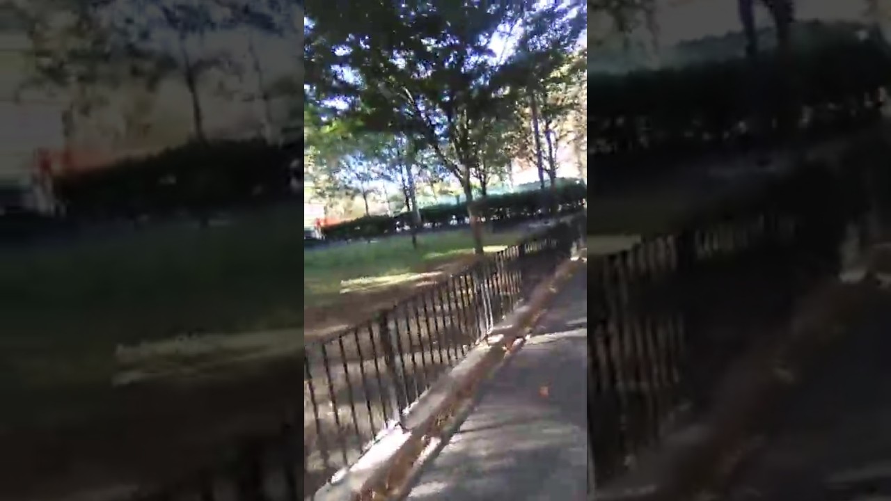 Notorious Baisley Park projects - YouTube