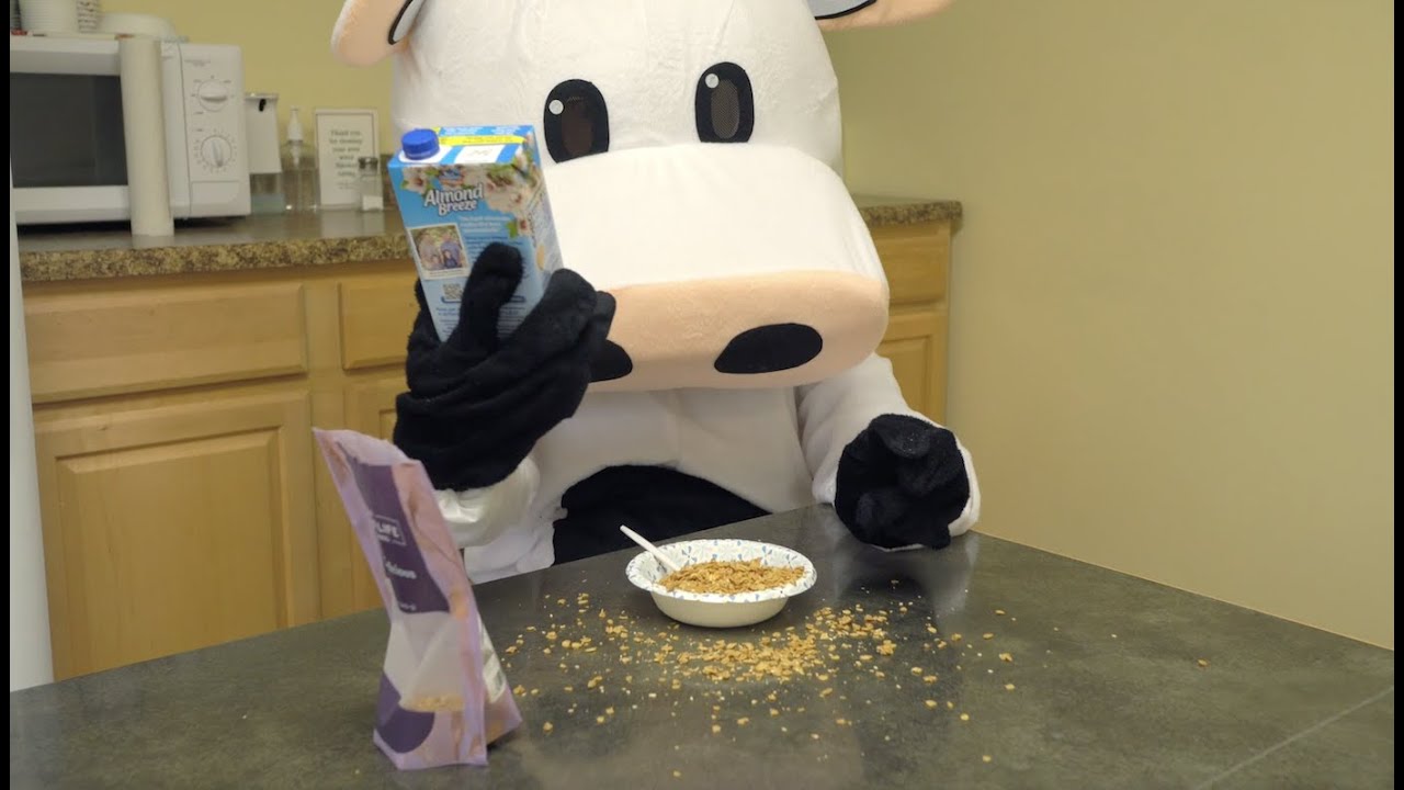 Epic Almond Milk Pour by Plant-Based Cow! - YouTube