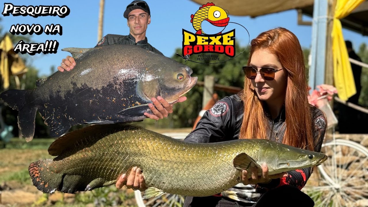 CONHEÇA O PESQUEIRO PEXE GORDO!!! QUE LUGAR SENSACIONAL! - YouTube