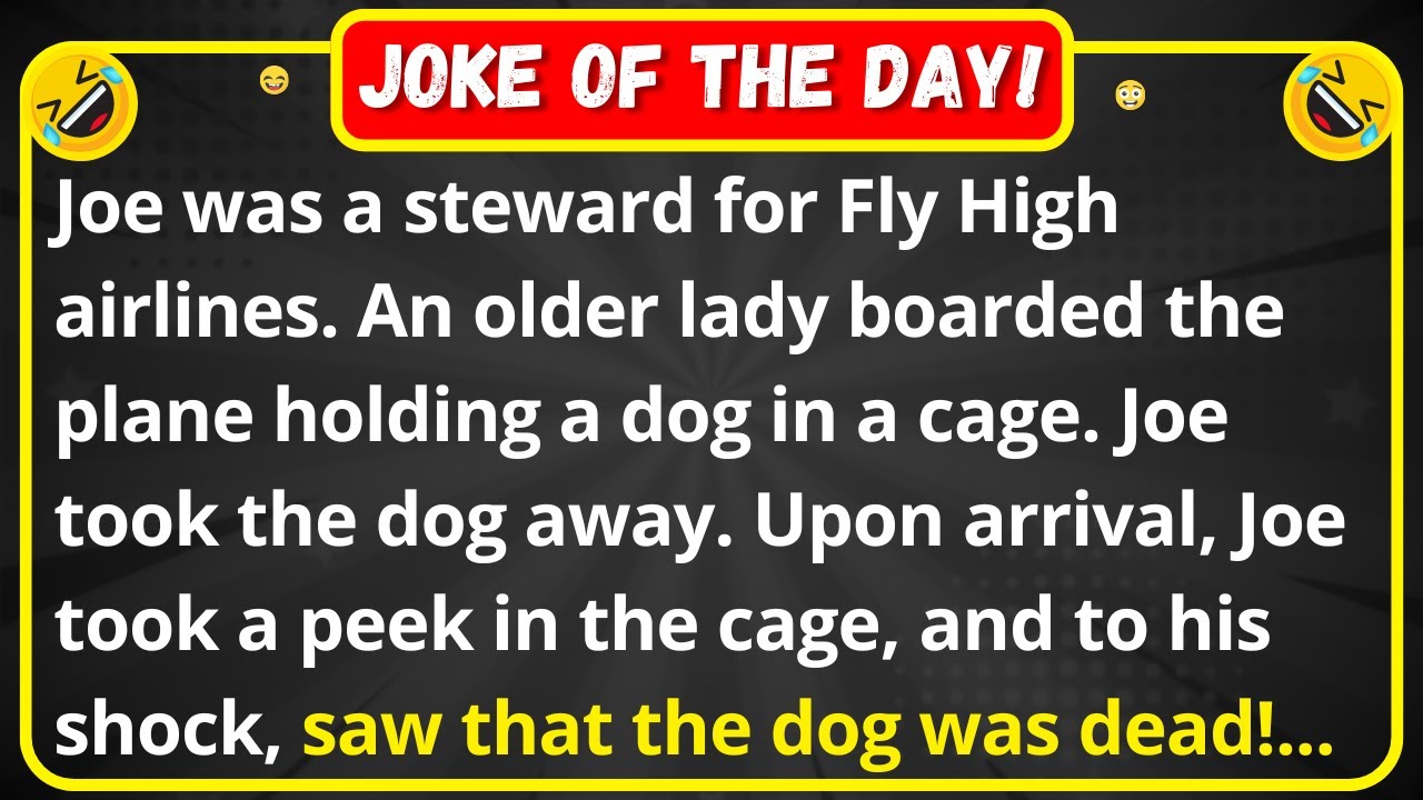 Joe was a steward for Fly High airlines | very funny best joke of the ...