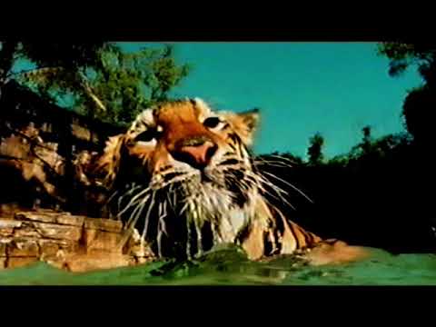 Dreamworld - TV Ad - Australia 2003 - YouTube