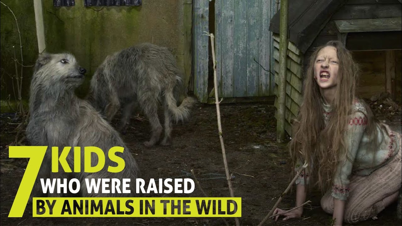 7 Kids Who Were Raised by Animals in the Wild | Info Junkie TV - YouTube