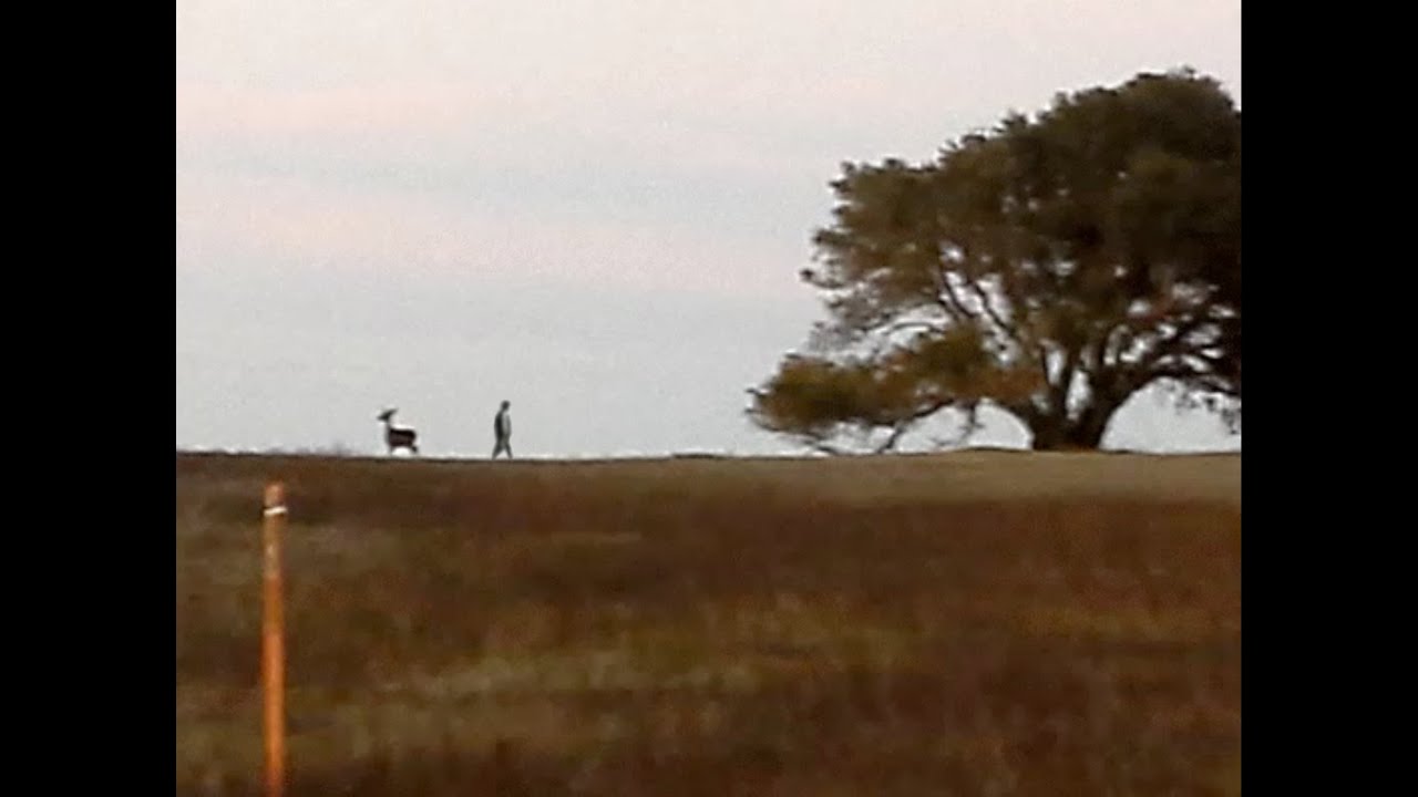 Man and deer - YouTube